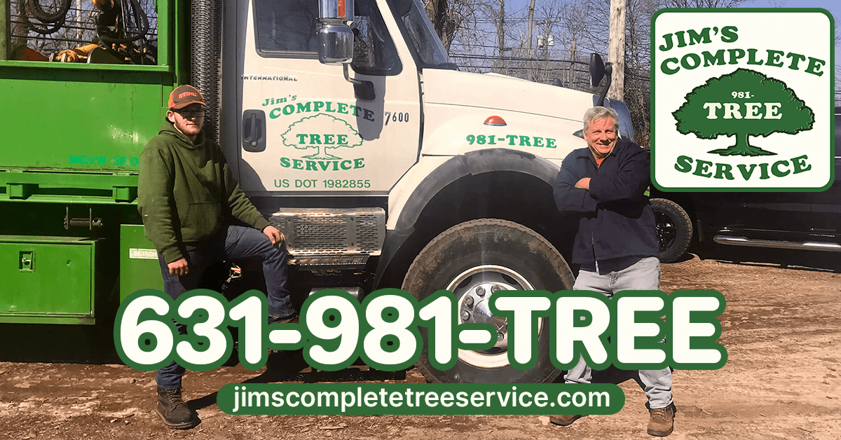 Jim's Complete Tree & Landscape Service
